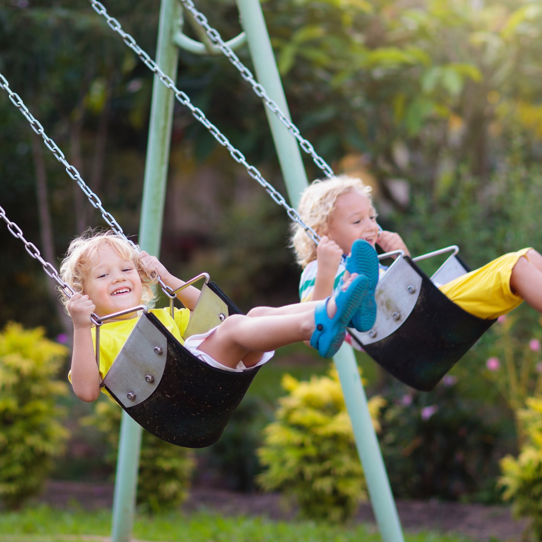 What Does a Solicitor Do? A Guide to Expert Legal Advice